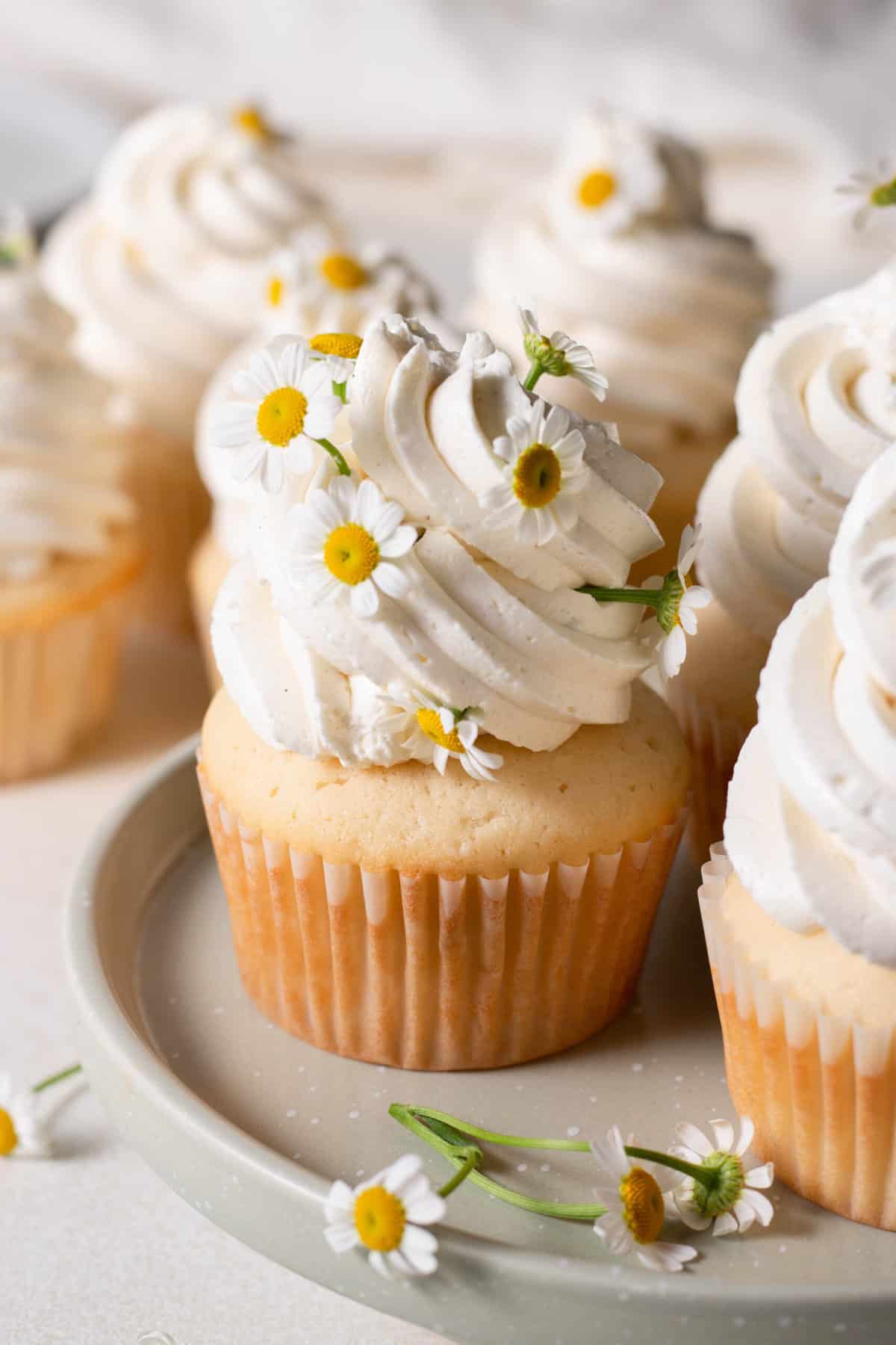 Classic Vanilla Cupcakes - Sarah's Day Off